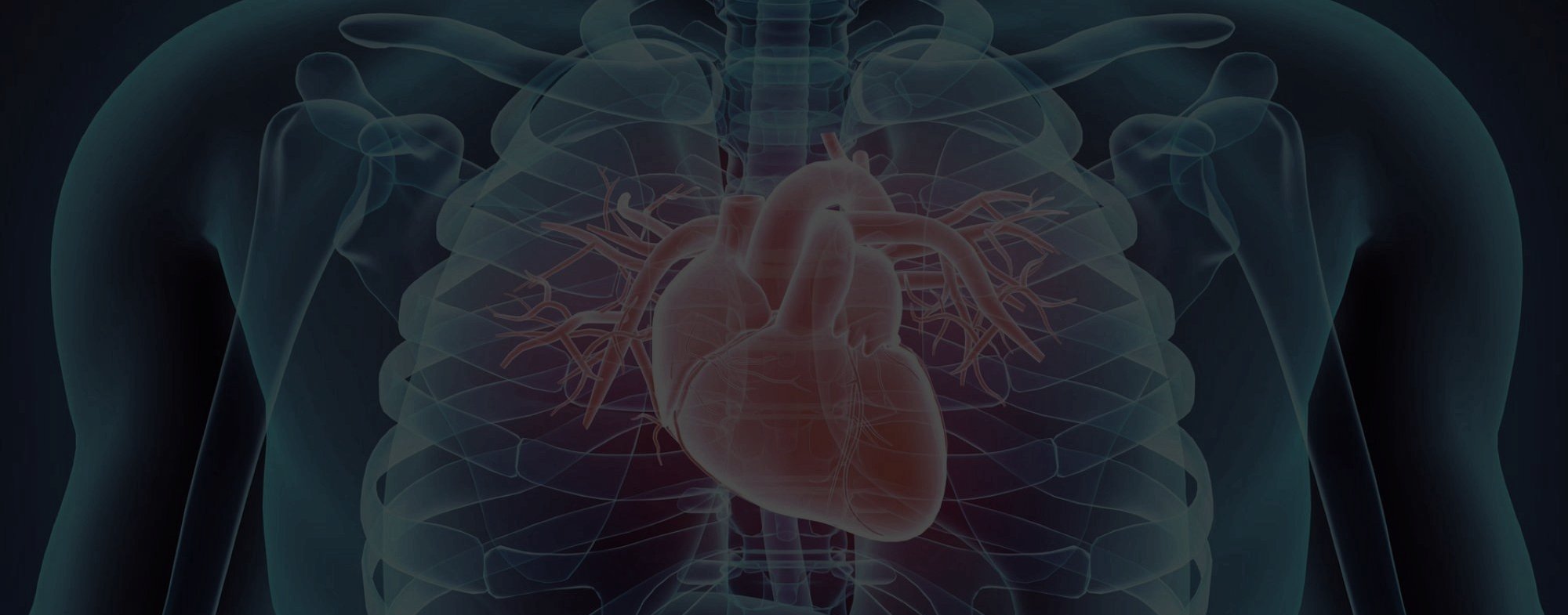 Development Process | CHD Adversarial NN